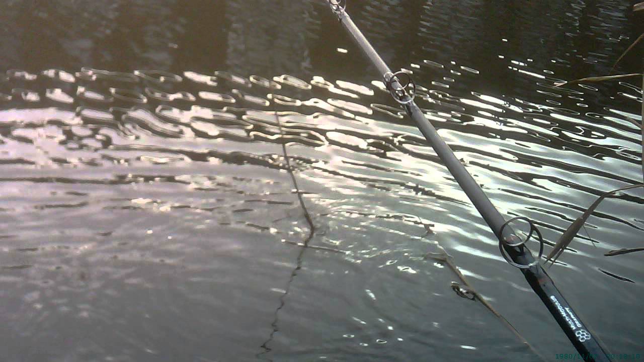 snoek 75 cm gevangen met savage gear real eel 30 cm - YouTube