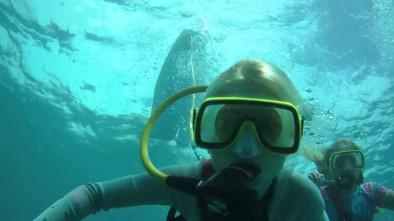 Starting a Dive on a Private Snuba Tour - YouTube