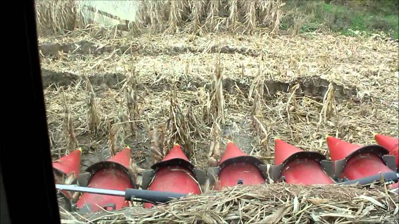 Kukuřice 2012 - John Deere C670 HM Part 1 - YouTube
