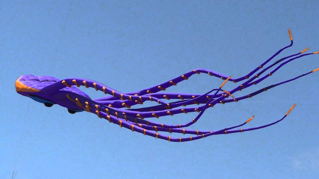Giant Squid kite at San Ramon Art & Wind Festival 2012 - YouTube