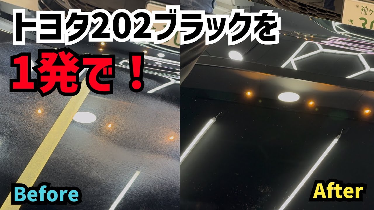 【ヤバすぎ】トヨタ202ブラックを1発で！マジでスゴすぎるコンパウンド！日本初レビュー！NORTH WOLF P1+ - YouTube