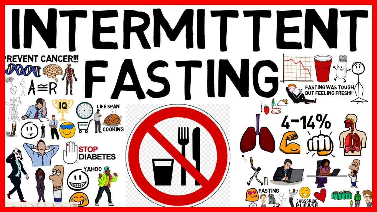 BENEFITS OF INTERMITTENT FASTING - Animated - YouTube