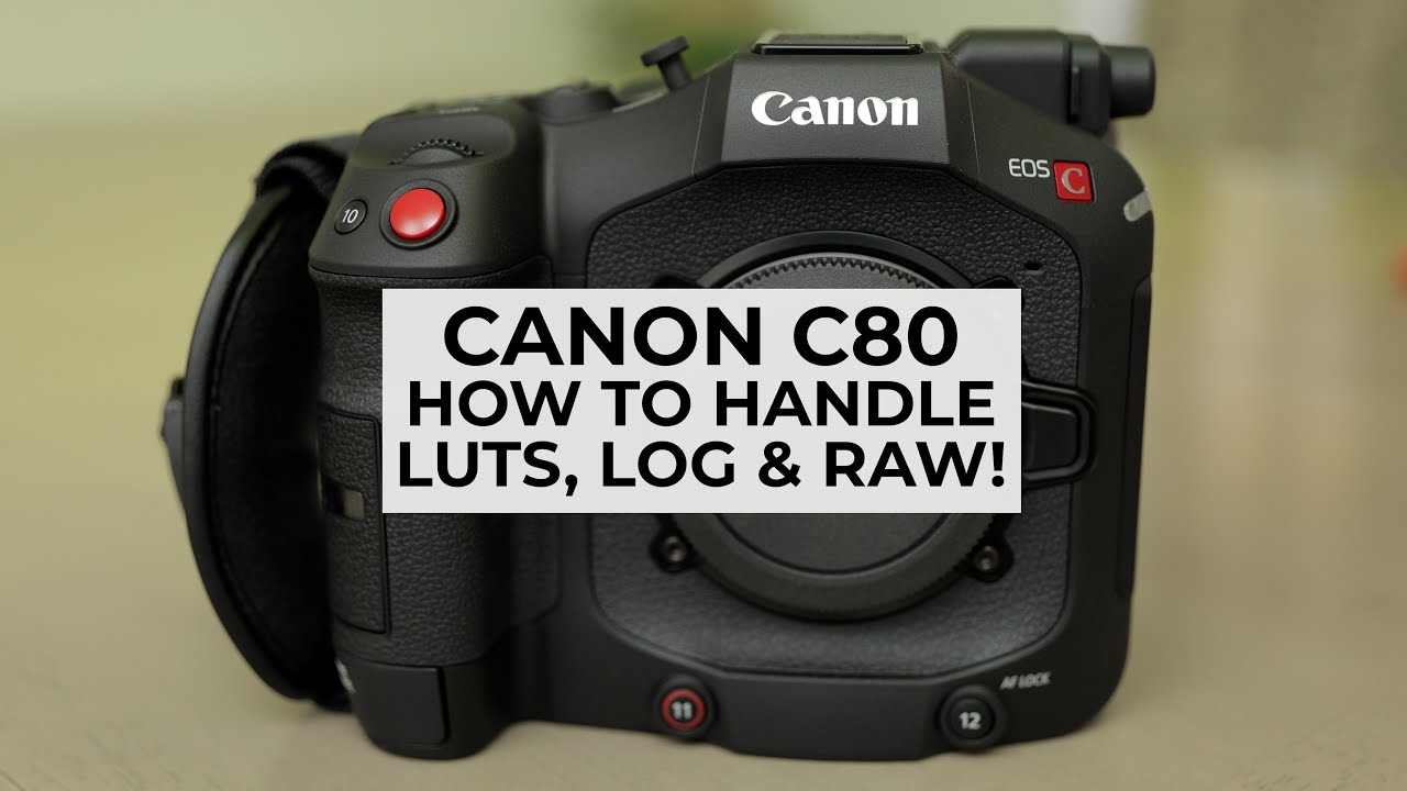 CANON C80 - How To Handle LUTS, LOG & RAW (Where to download and how to ...