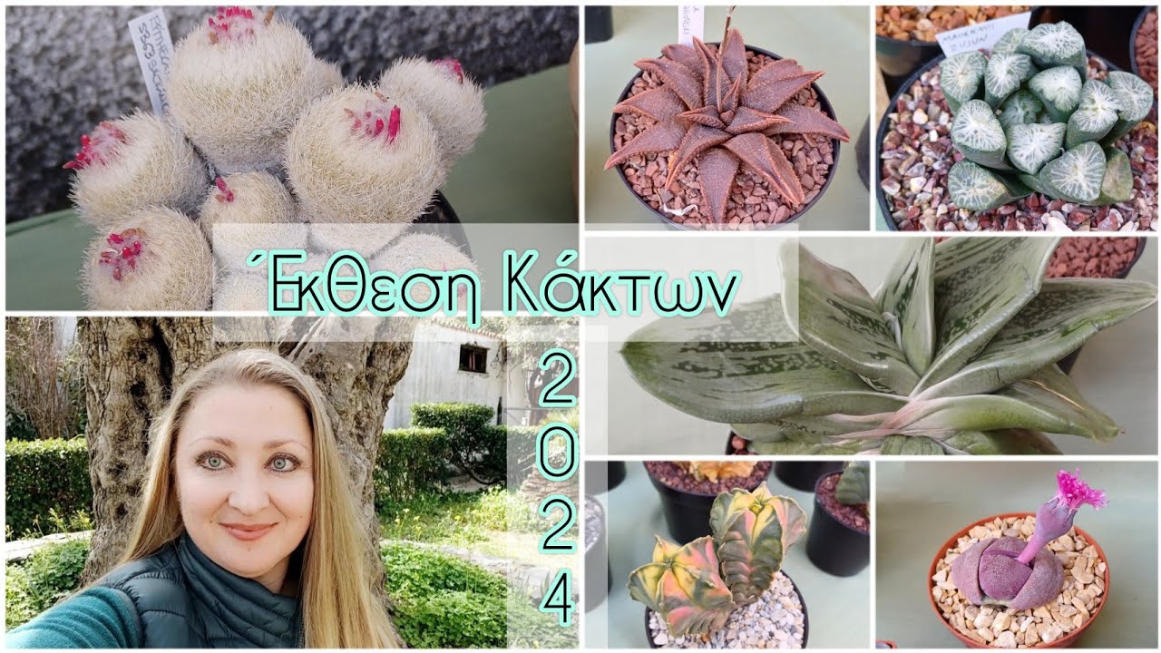 Έκθεση Κάκτων🌵25-2-2024 #κακτους #παχυφυτα #έκθεση - YouTube