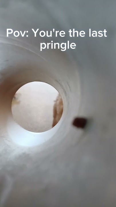 Pov: You're the last pringle - YouTube