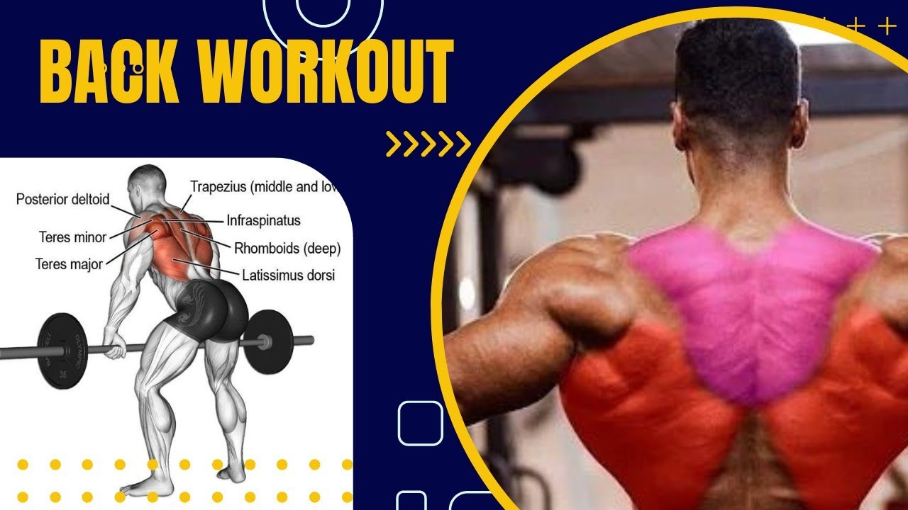 Build a Strong, Defined Back: The Ultimate Back Workout Guide - YouTube