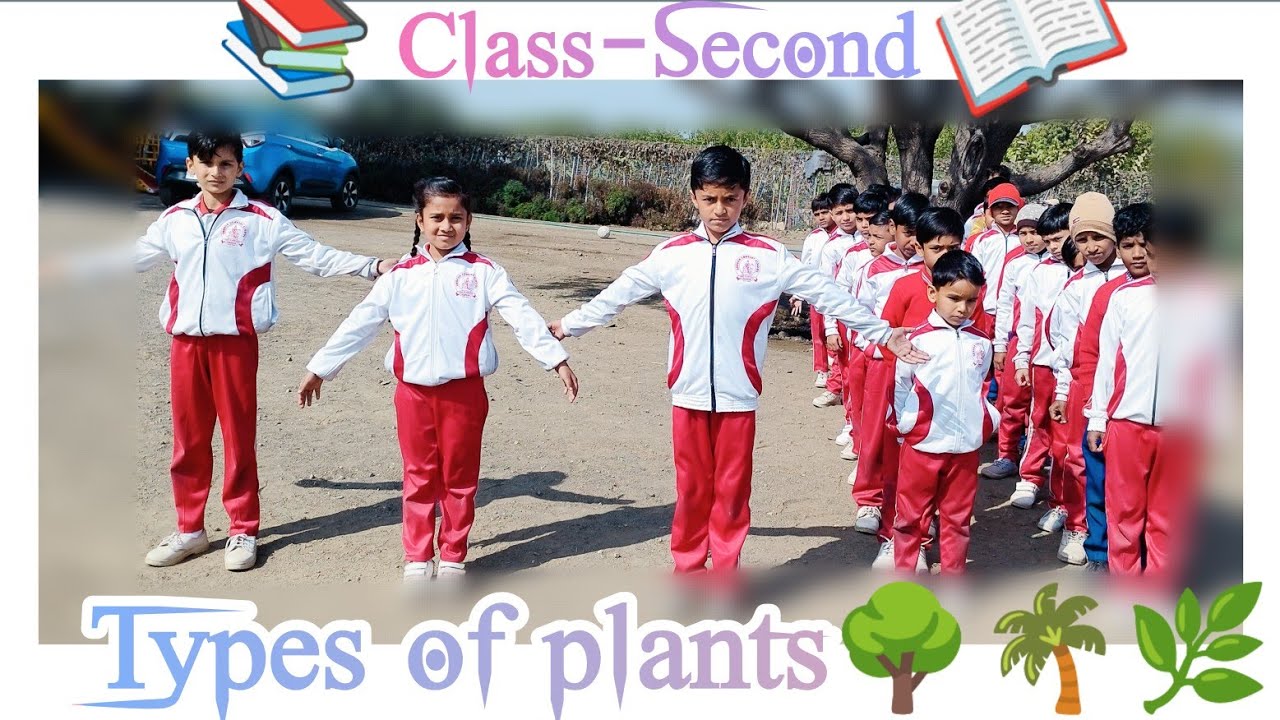 Different types of plant || Class-2nd E. V. S. Lesson- 13 || Green ...