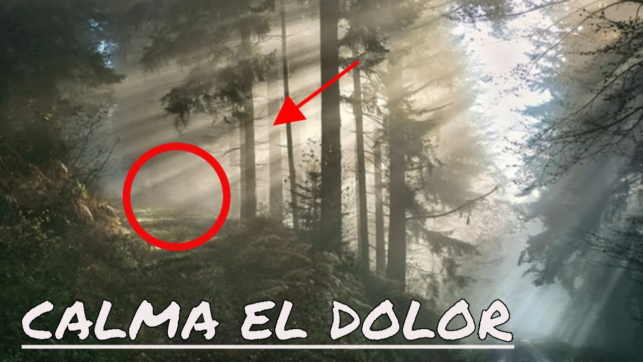 MUSICA RELAJANTE PARA CALMAR LA MENTE - ANTI ESTRES / Dr. D' Angelo - YouTube