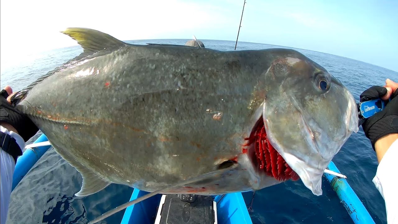 Monthly Pa Give away Update for May | Maritesan - YouTube