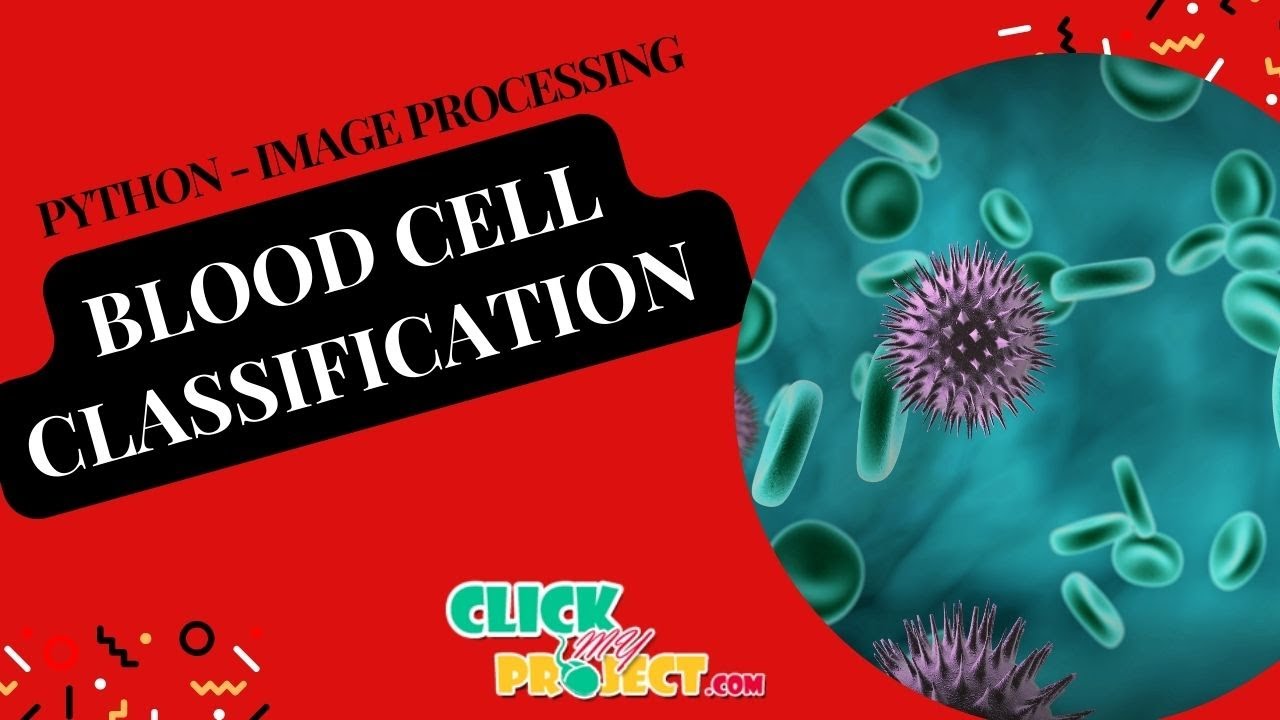 Python Image Processing Project - Blood Cell Classification ...