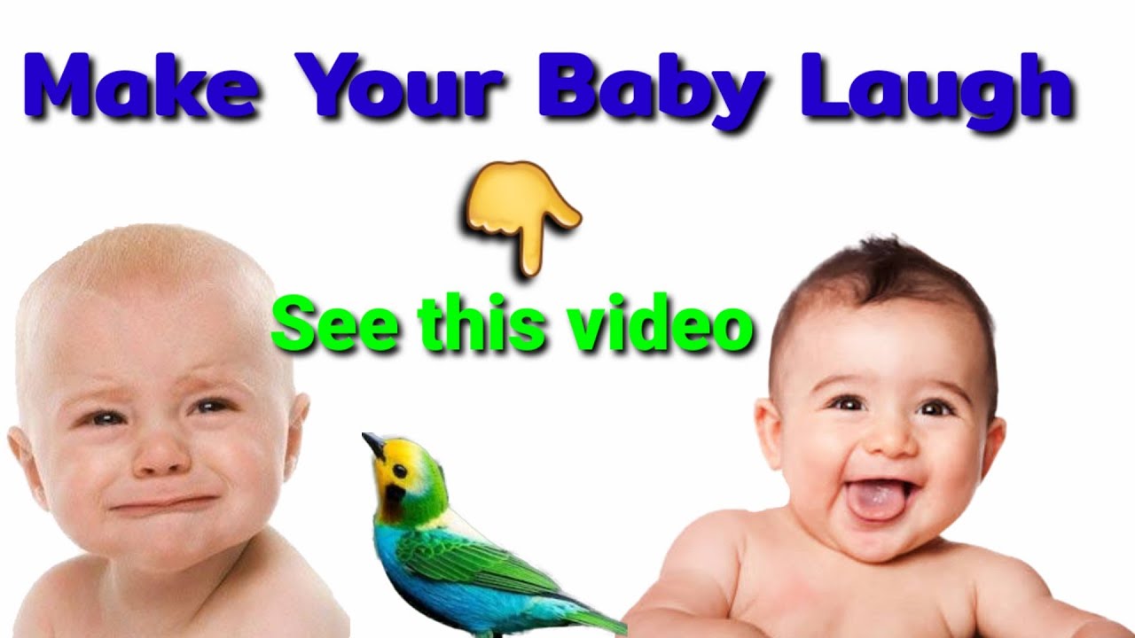 Funny Baby laughing || Funny Babies Laughing Video || Most Cute Baby ...