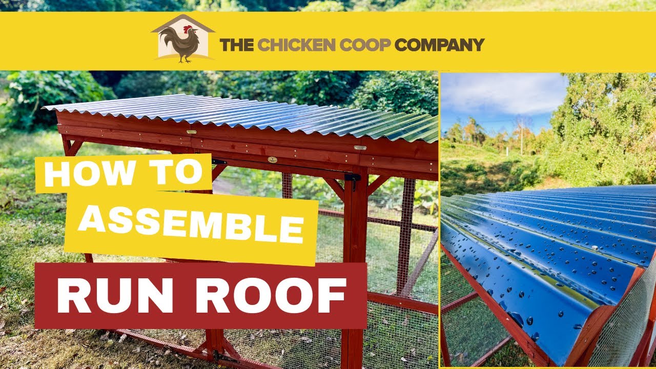 Chicken Coop Company Run Roof Installation - YouTube