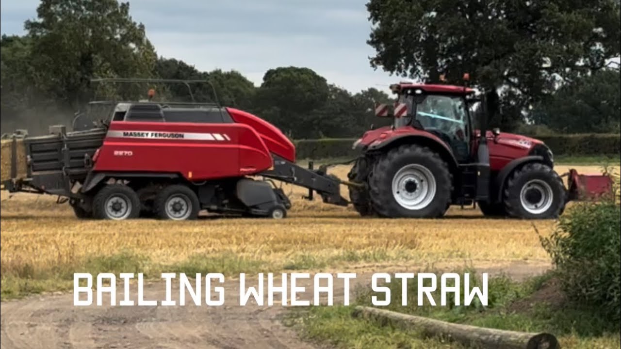 Straw stacking . Putting gaile breakers up ! Having a go with combine ...