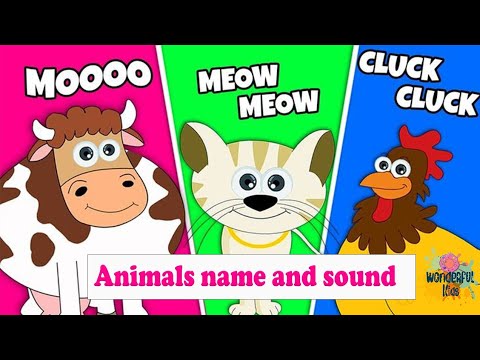 Learning Animal Names & Sounds Vocabulary | wonderful kids - YouTube
