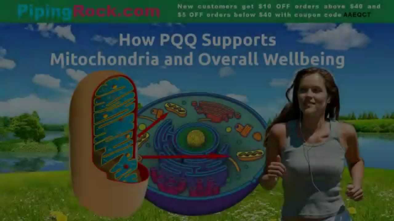 Protect Mitochondria & Boost Energy Levels With The Powerful Antioxidant PQQ - YouTube