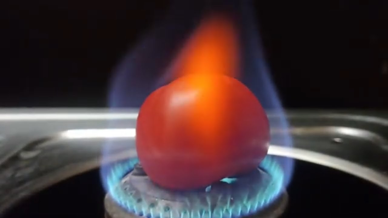 EXPERIMENT VIDEOS ! How Tomatoes React to Fire Explosive Experiments ...