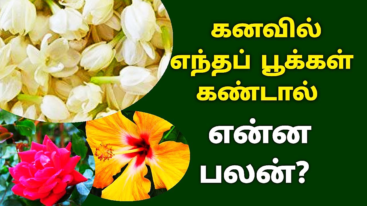 Poo Kanavil Vanthaal Enna Palan|Dream Of Flowers Meaning In Tamil ...