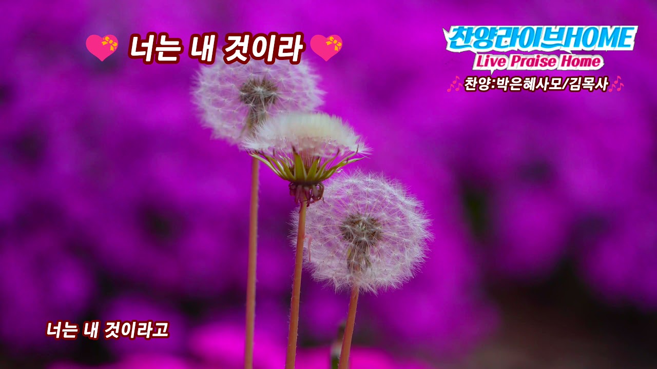 너는 내 것이라 찬양 박은혜사모 김목사 Youtube