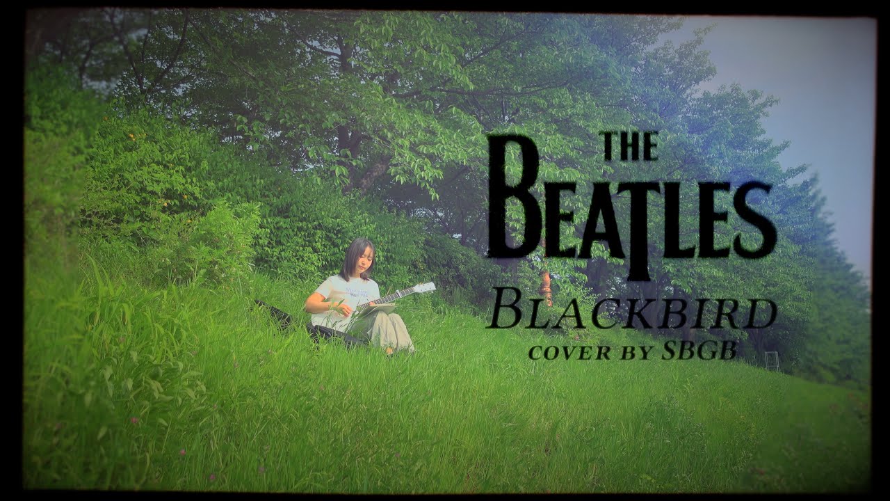 The Beatles (비틀즈) - Blackbird (cover) - YouTube