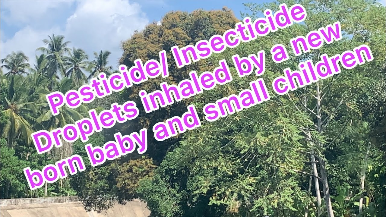 Pesticide / Insecticide Droplets Inhaled By A New Born Baby And Small ...