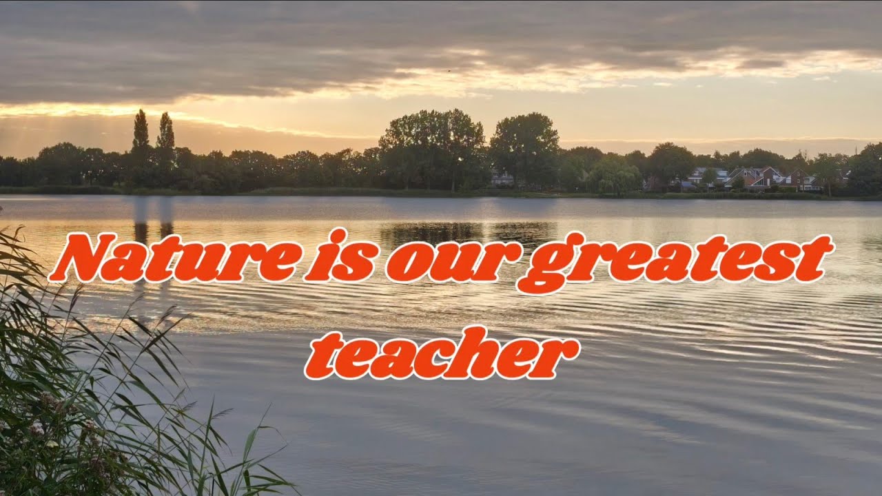 Nature is our greatest teacher, of surrender, of allowing, of simply ...