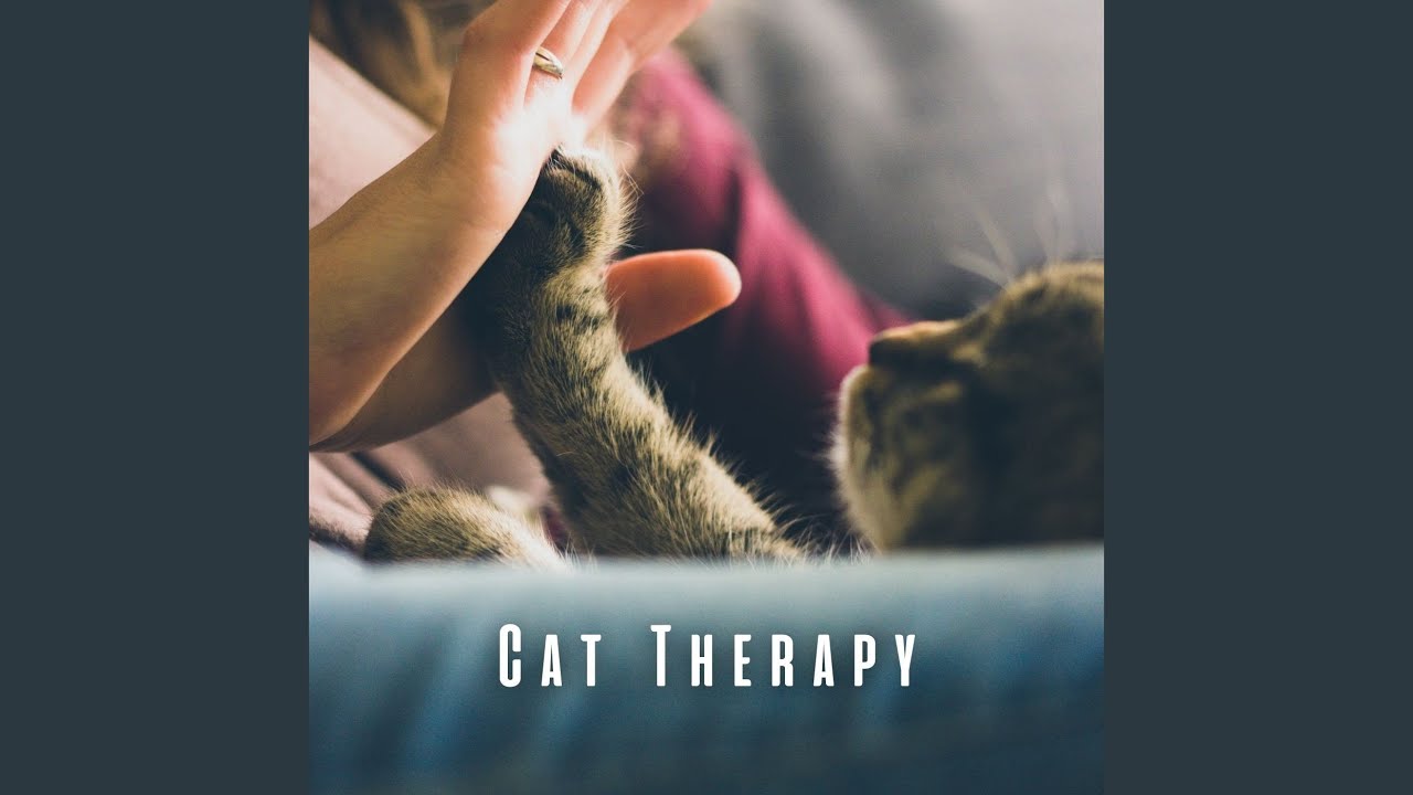 Calming Cat's Soundscape - YouTube