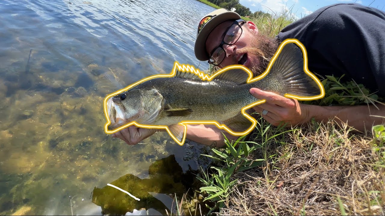 Fishing FLORIDA ponds for SNOOK BASS and TARPON!!! [Life with Al Bladez ...