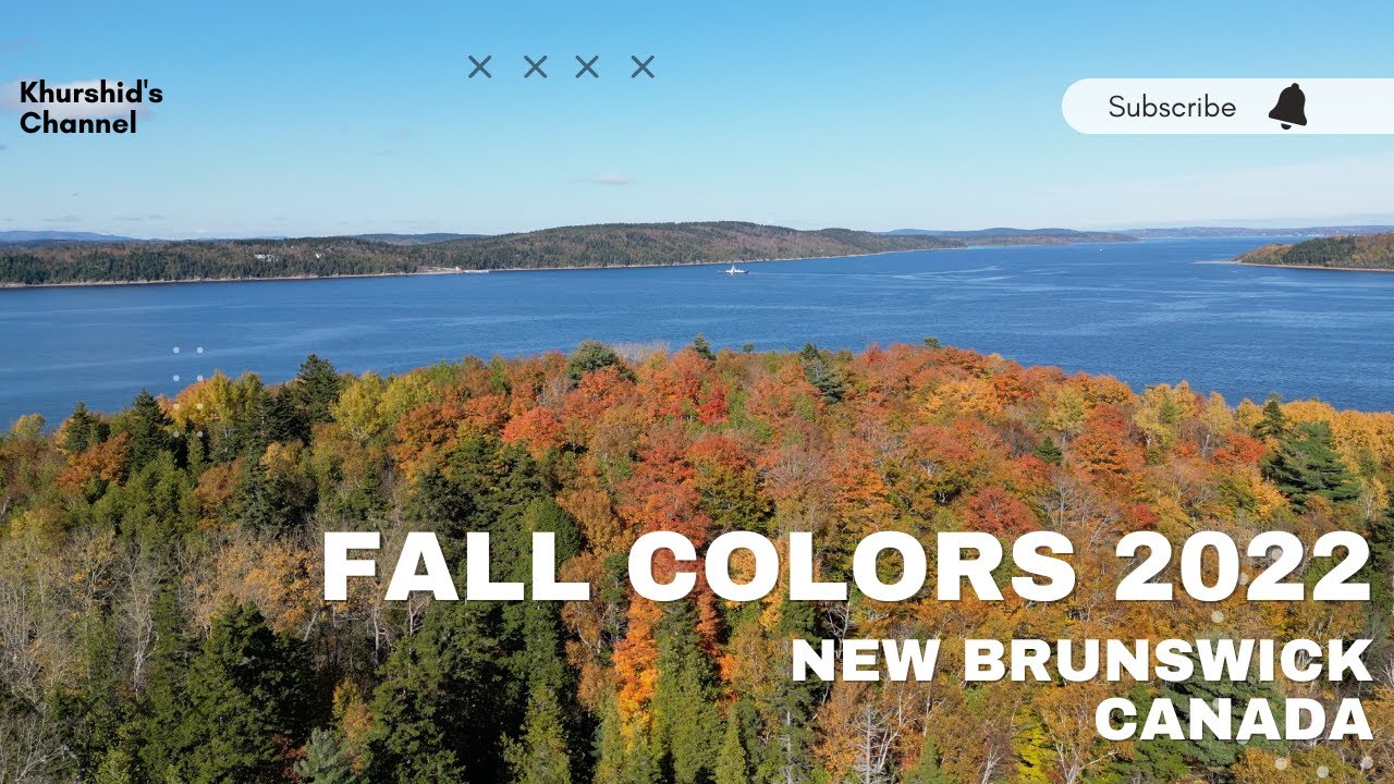 Fall Color | Leaf color | Saint John | New Brunswick | Canada - YouTube