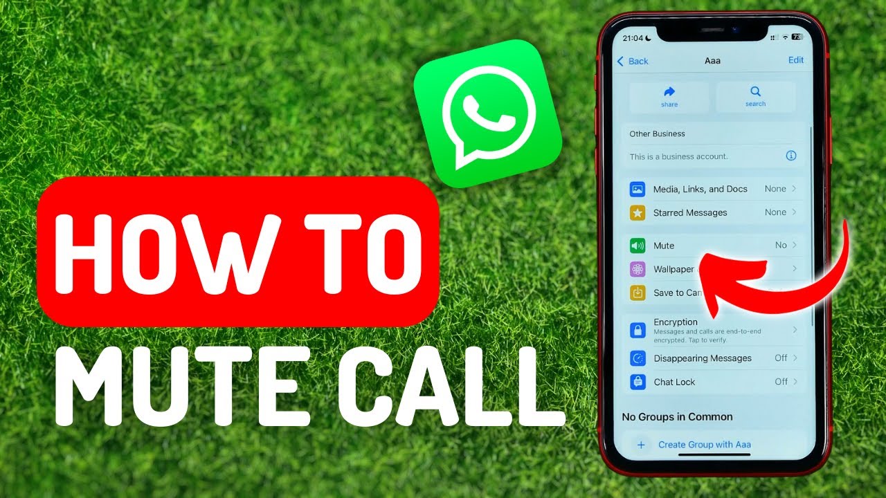 How to Mute Call on Whatsapp - Full Guide - YouTube