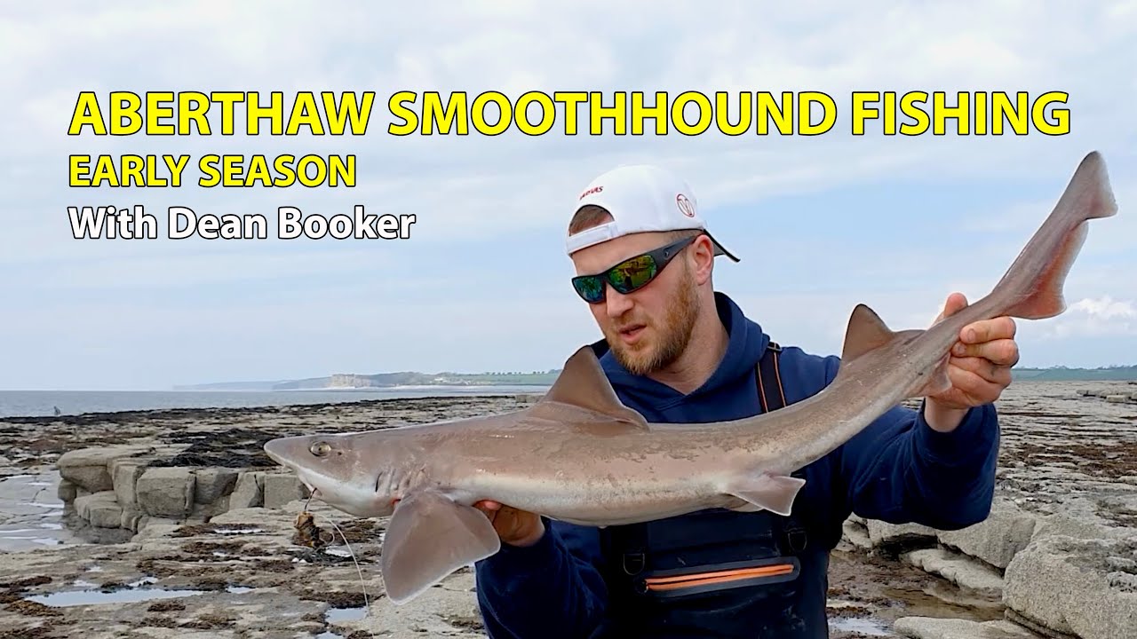 Aberthaw Smoothhound Fishing- Early Season With Dean Booker - YouTube