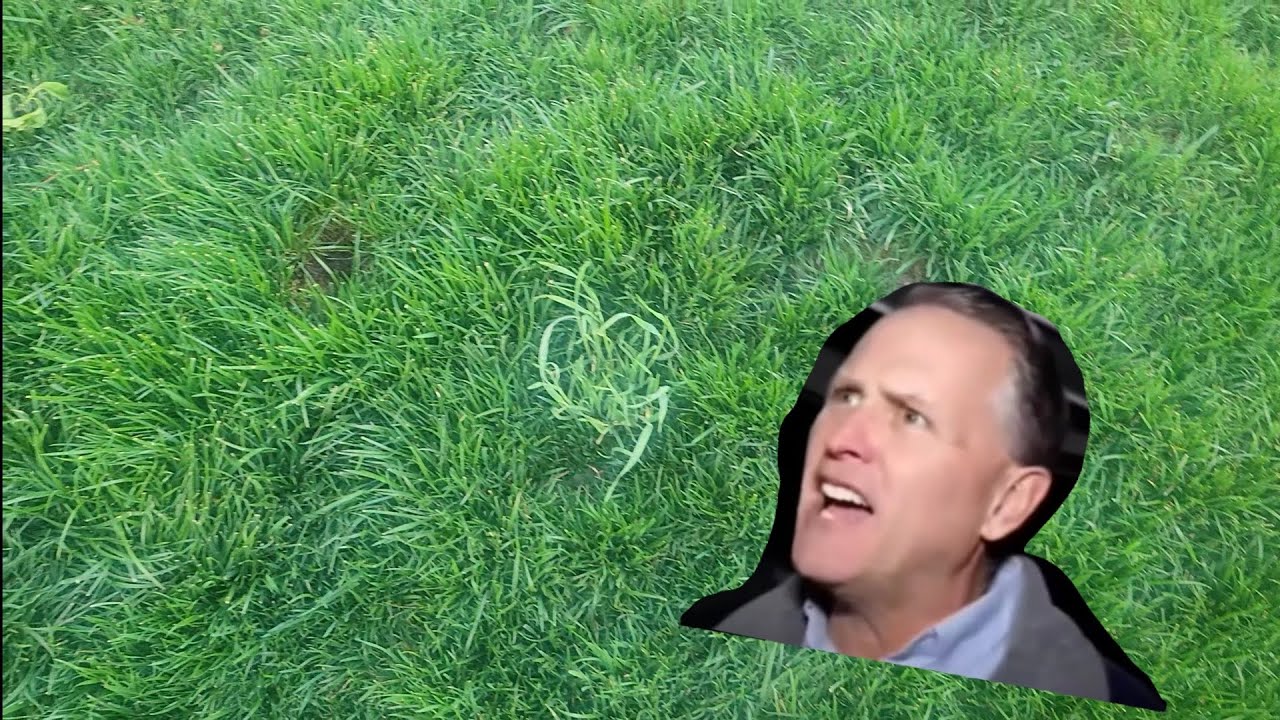 Speed Zone + Tenacity = Weed Control. Eliminating Grassy and Broadleaf ...