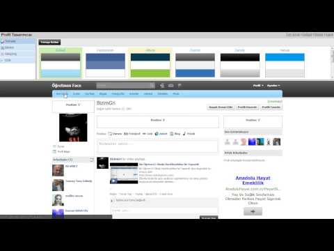 Profil Ayarları ve Tema Seçimi - Ogretmen.im