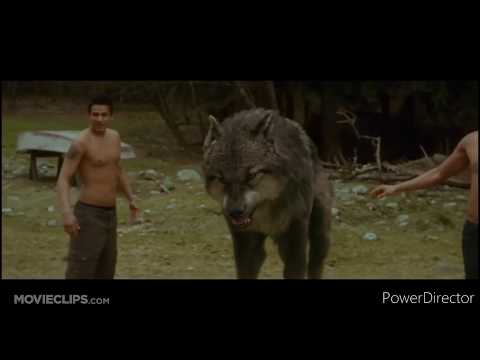 |Twilight Wolves_ Superhero~