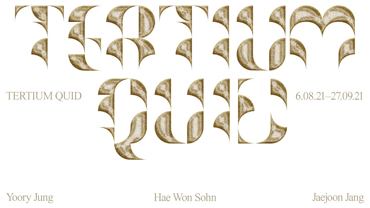 [K-Art] Tertium Quid: Unconventional sculpture, installations, and ...