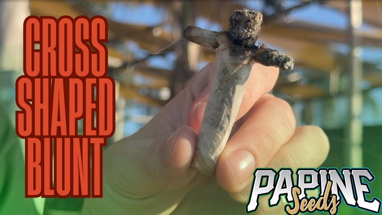 Armado #101 - Cross shaped blunt tutorial ️ [Cómo armar un avioncito ...