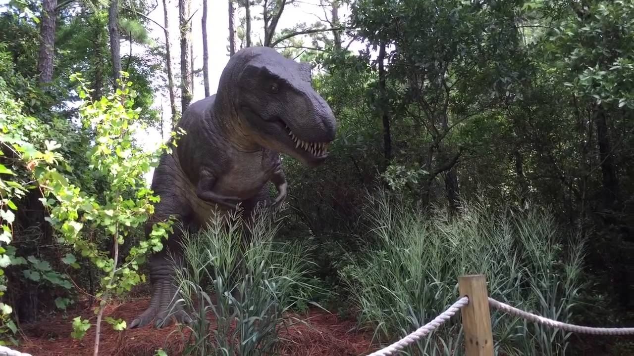 Jasper and the TRex - YouTube