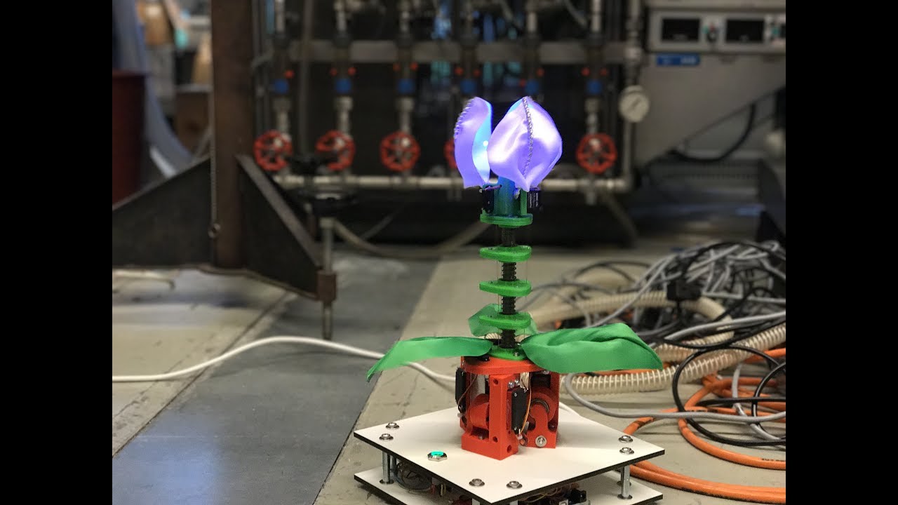 Dance of the robotic flower - YouTube