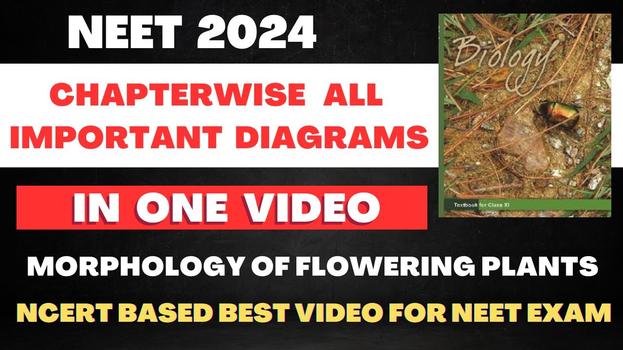 NCERT chapterwise all labelled diagrams of Biology in 1 video | NEET ...
