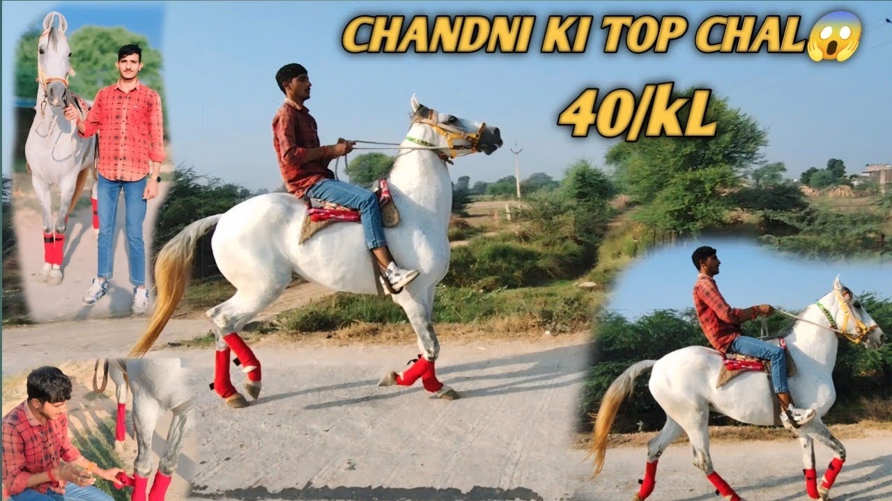 pattiyon ke sath Chandni ki top chal 40 ki speed mein chaal 🥰😱 - YouTube