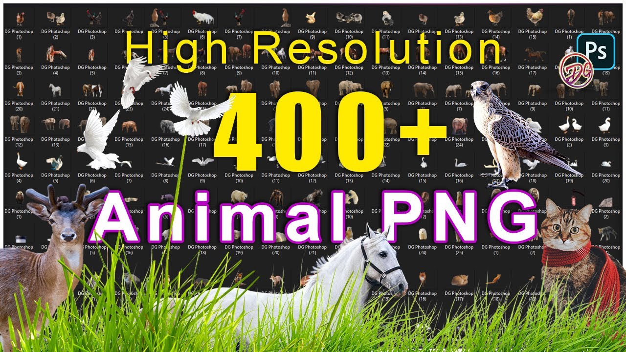 Free High Resolution 400+ Animal PNG Pack | PNG Overlay - YouTube