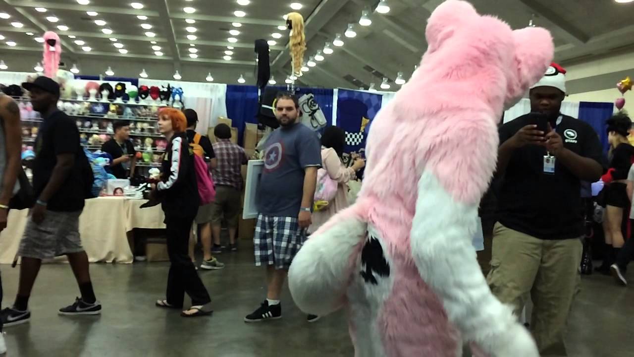 Fujimaru husky the dancing husky. - YouTube