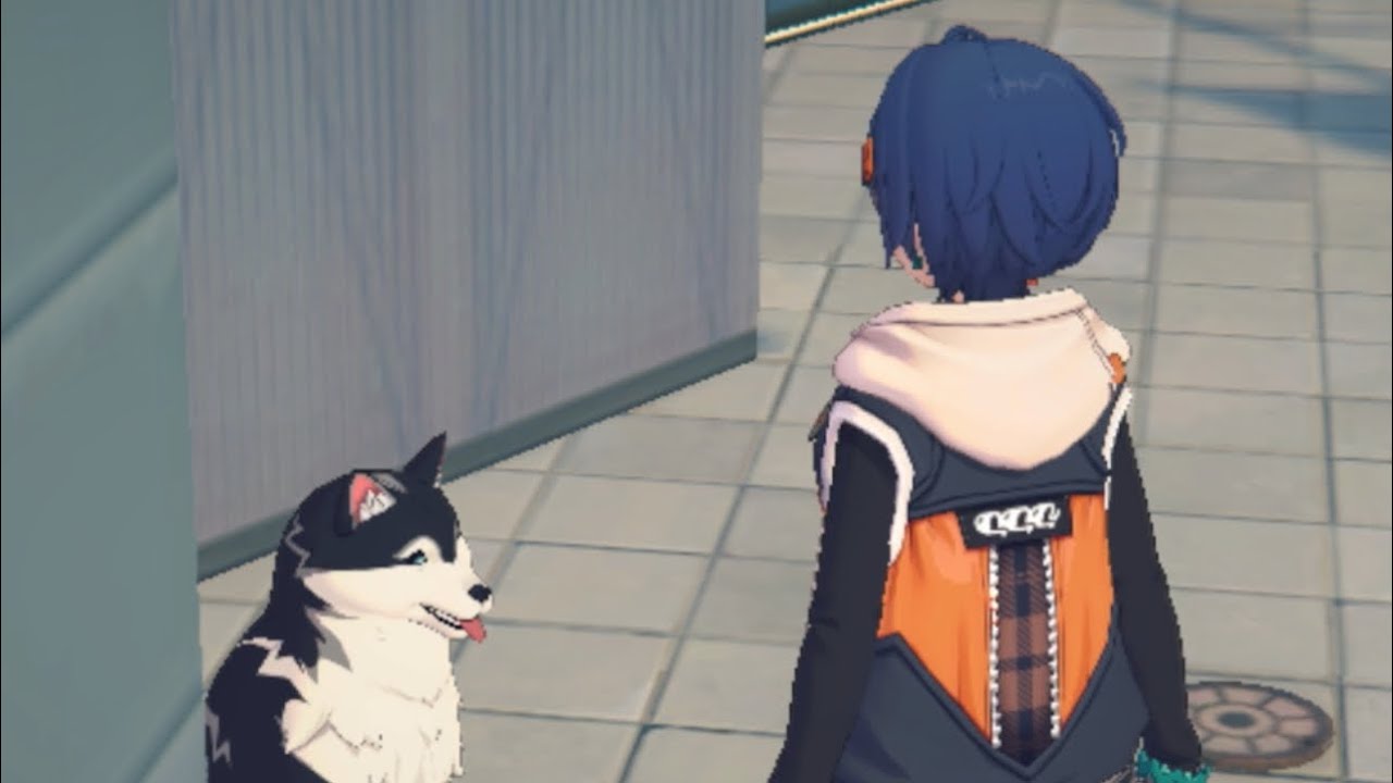 Zenless Zone Zero Extras: Tea Party with Animals Meerkats & Dog Morse Code Translation - YouTube