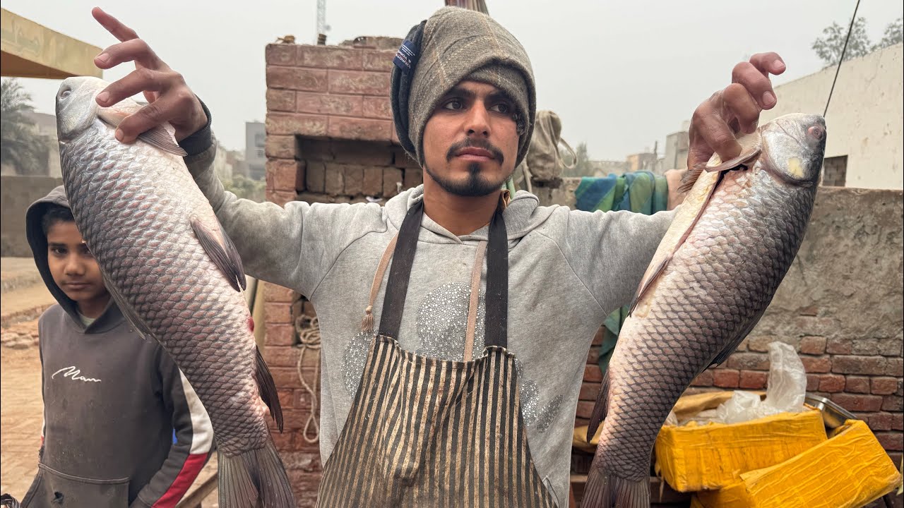 Fish informative vlog||how to buy fresh fish||taaza fish market in ...