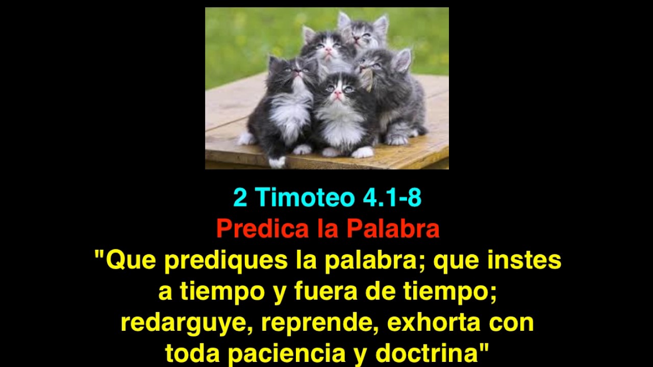 2 Timoteo 4. 1- 8: Predica la palabra - YouTube