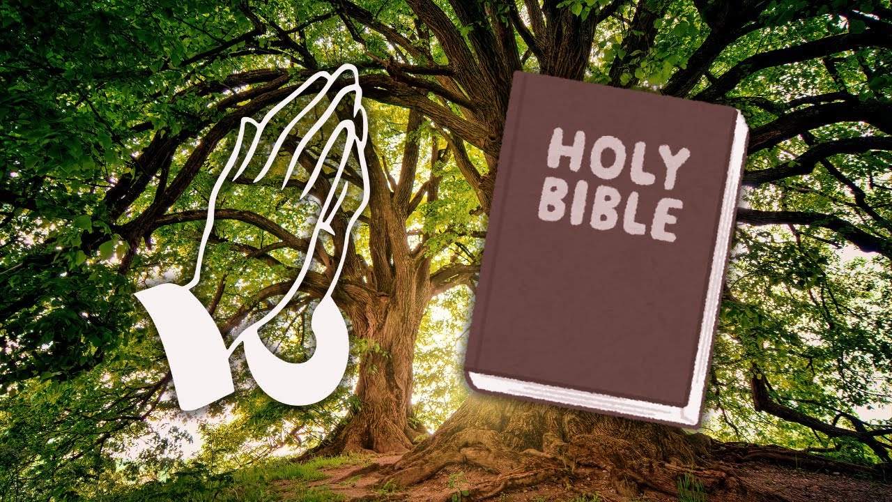 Bible Meditation week 1 - YouTube