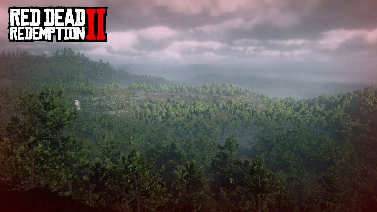 RDR2 Ambience: light rain sounds, wildlife, crows, train passing by ...