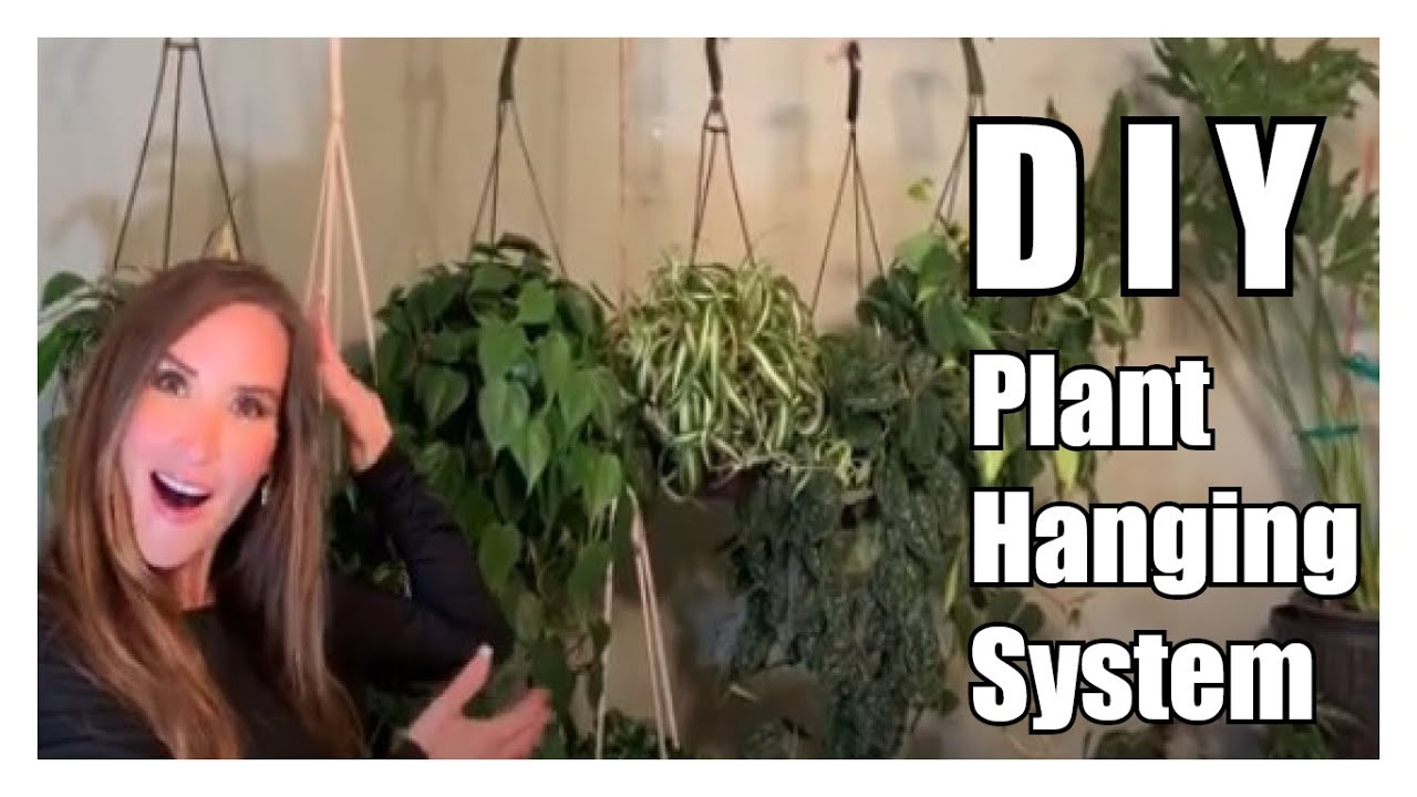 DIY Plant Hanging System - YouTube