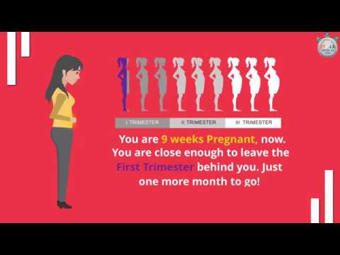 Baby’s Development at 9th Week of Pregnancy – Part 1 - YouTube