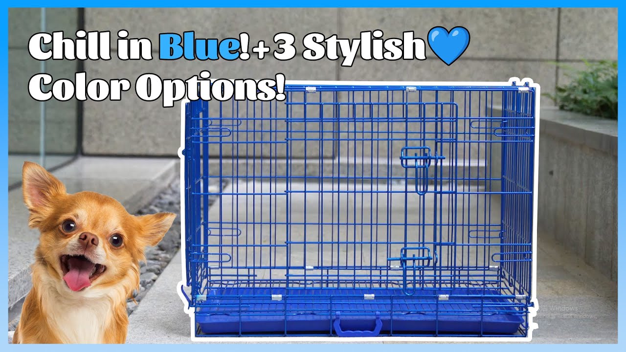 Travel in Comfort with Our Stylish Blue Dog Crate!🐾 - YouTube