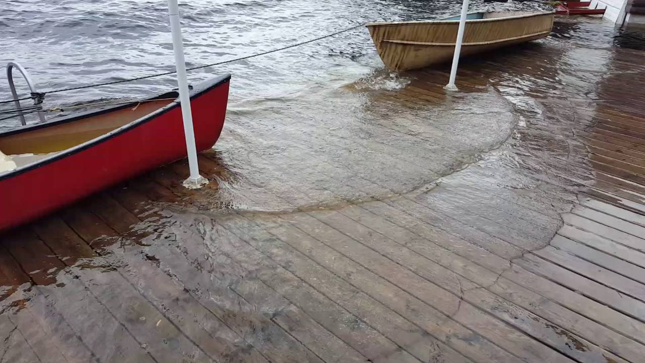 Falcon Dock - YouTube